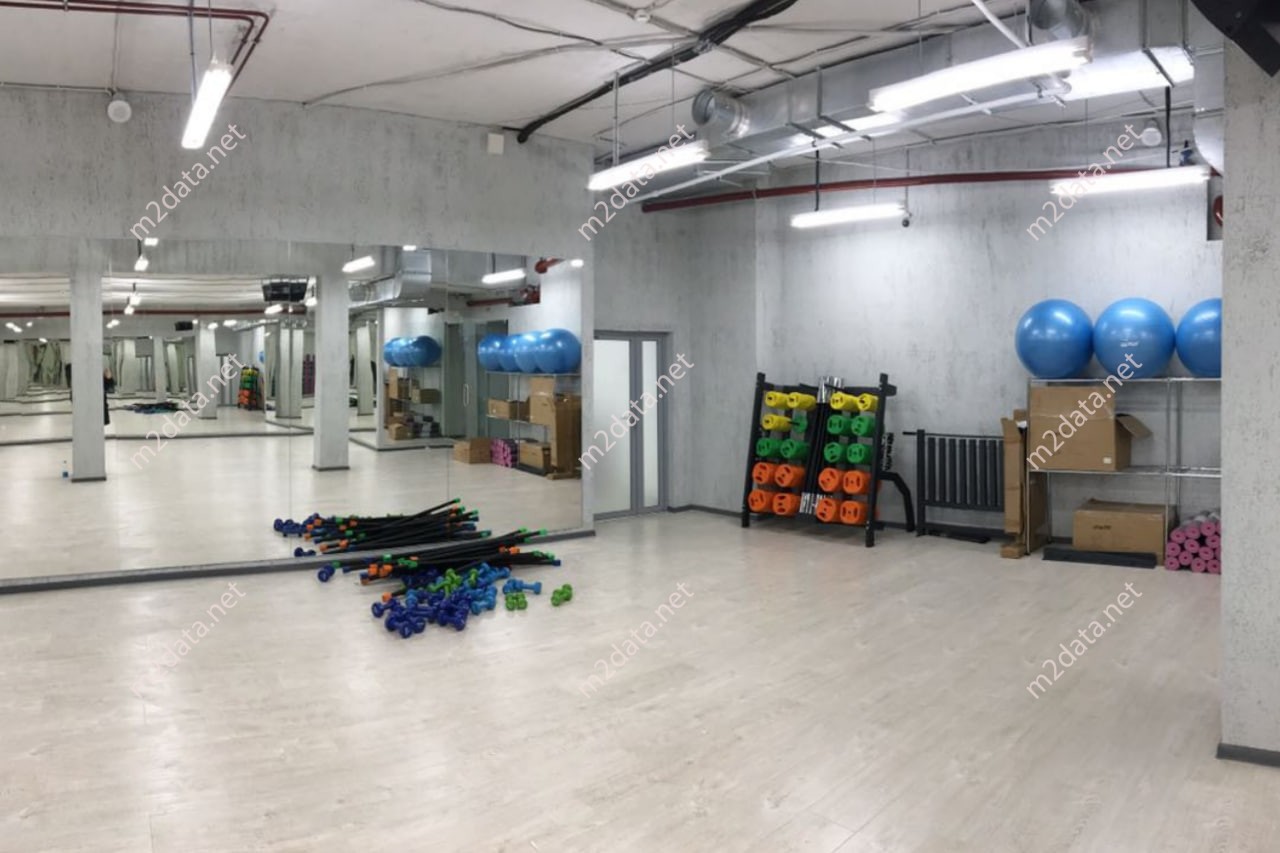 Купить псн 1 3977 м2 в жилом доме Галина Цоколь 180 000 000 руб С
